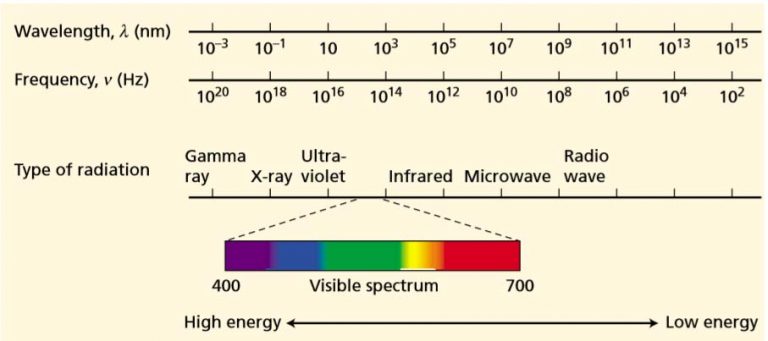Light and Photosynthesis - Study Solutions